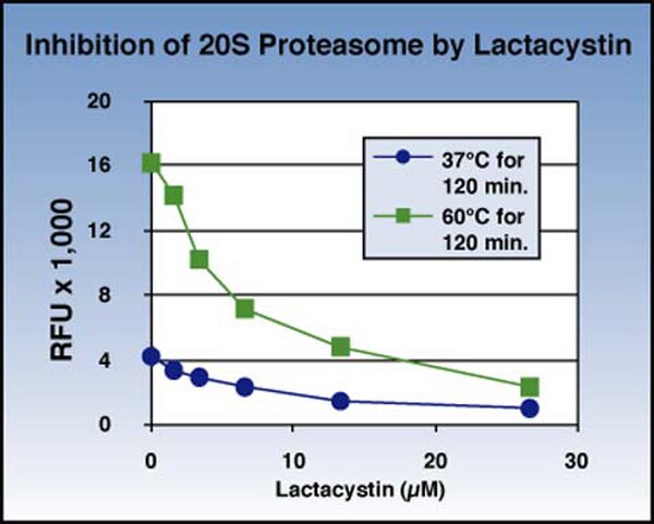 20S Proteasome Activity Assay | APT280